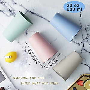 Roucerlin 4 Pack 20 OZ Wheat Cup, Unbreakable Reusable Wheat Straw Drinking Cup, Coffee, Tea, Water, Beer, Milk, Juice Cup, Stackable Travel Cup (Green)