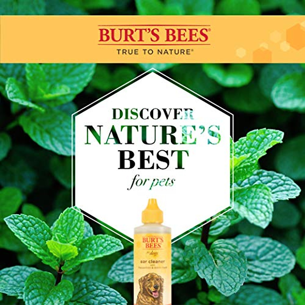 Burt's Bees for Pets Natural Ear Cleaner with Peppermint and Witch Hazel | Effective & Gentle Dog Ear Cleaning Solution for All Dogs And Puppies | Made in USA, 4 Oz