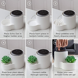 HAUS BRIGHT Echo Dot Holder | Google Mini Stand | 2nd/3rd Generation | Smart Accessories Cover Case | Clear Speaker, Mic, Lighting | Multi-Functional Planter, Money, Keys, Candy, Ring Dish
