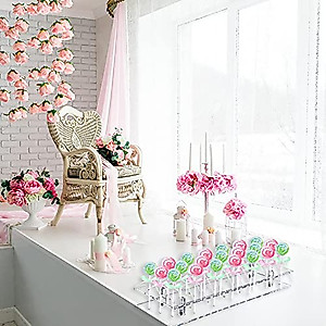 Acrylic Lollipop Holder, 21 Hole Cake Pop Stand Display Cake Pop Holder 100 Pcs Lollipop Sticks 100 Pcs Treat Bags 100 Pcs Twist Ties,Cake Candy Chocolate Making Decoration Supplies for Baby Showers Party Wedding Anniversaries