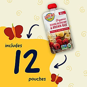 Earth's Best Organic Baby Food Pouches, Stage 2 Fruit and Grain Puree for Babies 6 Months and Older, Organic Banana Raspberry and Brown Rice Puree, 4.2 oz Resealable Pouch (Pack of 12)