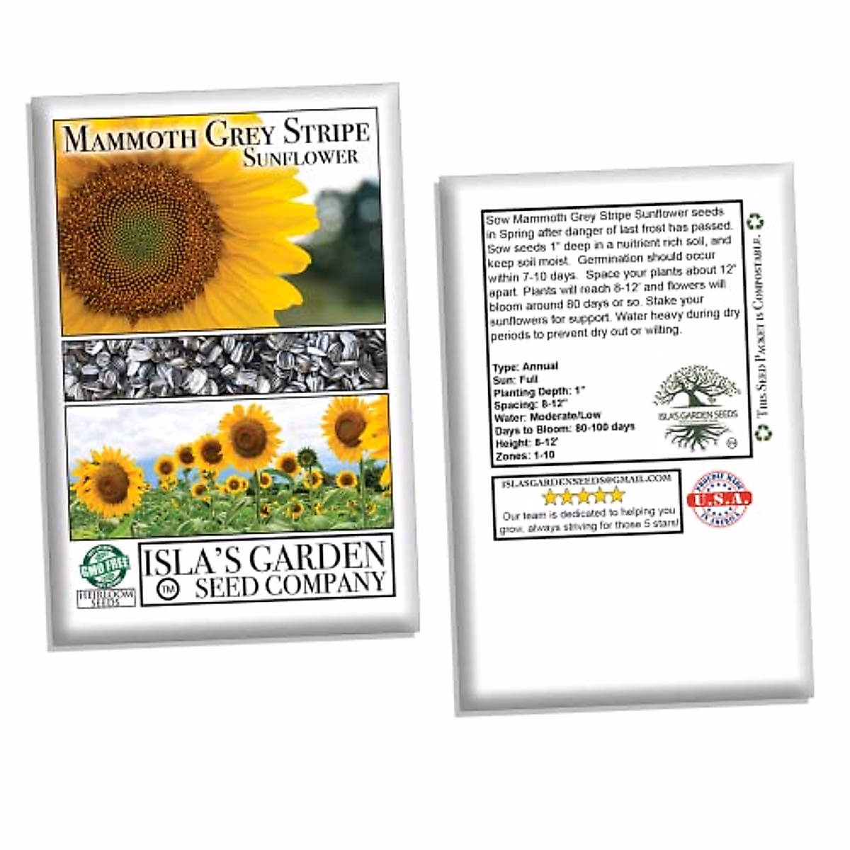 Mammoth Grey Stripe Sunflower Flower Seeds, 50+ Heirloom Seeds Per Packet, (Isla's Garden Seeds), Non GMO Seeds, Botanical Name: Helianthus annuus