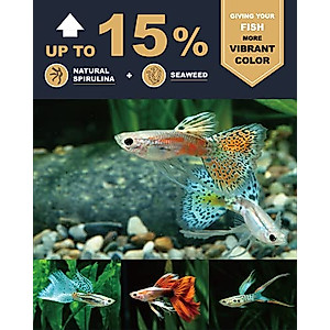 Ultra Fresh Royal Guppy Mignon Pellet, All Natural Guppy Food, Sword Prawns, Spirulina, Highly Nutritious, for Cleaner Water and More Vibrant Color 1.87 oz