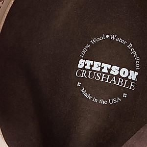 Stetson Men's Cowboy, Mink, Large