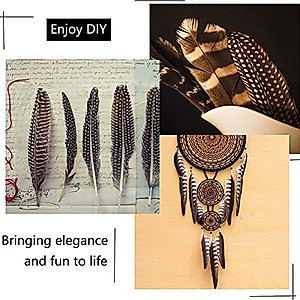 Natural Turkey Spotted Feathers, 30Pcs Pheasant Feathers Mardi Gras Feathers for Crafts DIY Hat Floral Arrangements Wing Quill Wedding Home Party Decorations 6-8 inch(3 Styles)