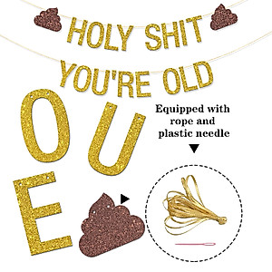 RoadSea Holy Shit You're Old Banner - Funny Birthday Party Garland Supplies for Adult - 30th 40th 50th 60th 70th 80th Birthday Party Decorations - Gold Glitter