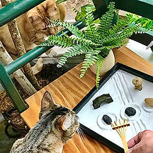 COCORO Japanese Zen Garden for Desk and Office Accessories Includes Zen Garden Sand, Rocks, Rake, Moss Stones, Fishes, Lantern, Bridge, and Origami