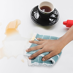 Urban Villa Dish Cloths Terry Cotton Pack of 6, Highly Absorbent Quick Drying Super Soft Premium Dish Towels for Kitchen with Hanging Loop Hand & Tea Towels - 12x12 Inch, (Aqua & White, Checks)