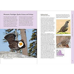 Birds of the Pacific Northwest (A Timber Press Field Guide)