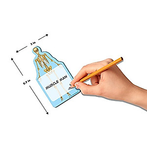 Fun Anatomy Sticky Notes Collection, 6 Pack-100 Sheets Per Pack, Medical Note Pads and Great Gifts.