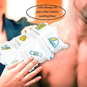 Reusable Shipping Dry Ice Packs Sheets for Coolers, Cold Pack for Shipping Frozen Food, Freezer Ice Pack Long Lasting Cool Packs Keep Food Fresh Beverage Cold, 8.03"x11.3"/8 Sheets