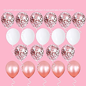 Tihuprly Survivor Cancer Free Party Decorations Included Rose Gold "WARRIOR" Foil Balloons + 20 Latex Balloons +1 Rose Gold Glitter " WARRIOR" Sash - Beat Cancer Breast Cancer Protection Banner