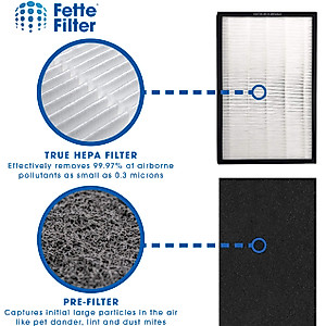 Fette Filter - True HEPA Air Purifier Filter Compatible with Germ Guardian FLT5600 Filter N for Model AC5600W. Compare to Part # FLT5600. (Pack of 2)