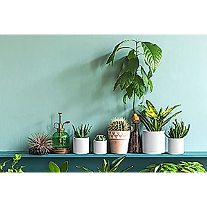 Pack of 20 Plastic Plant Pots (4 Set of 2 Inch, 2.5 Inch, 3 Inch, 3.5 Inch, 4 Inch) Small Garden Planter Pots for Plant with Drainage Holes and Saucers, White Color, 74-U-XS-1