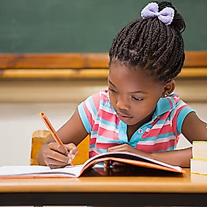 WY WENYUAN 12Pcs Cute Pens, Fine Point Smooth Writing Pens, Pastel Ballpoint Pens Bulk, Colorful Best Gift Pens, Black Ink 1.0 mm Journaling Pen, Pens Office Supplies for Women & Men, Note Taking