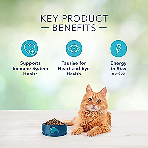 Blue Buffalo Freedom Grain Free Natural Indoor Mature Dry Cat Food, Chicken 11-lb