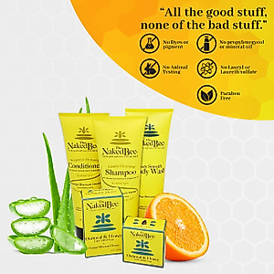 The Naked Bee Vitamin C Face & Body Sunscreen Protection (5.5 Oz) - Suncreen Moisturizing Vitamin C Cream - Sunblock - Sunflower Oil & Aloe with Spf 30