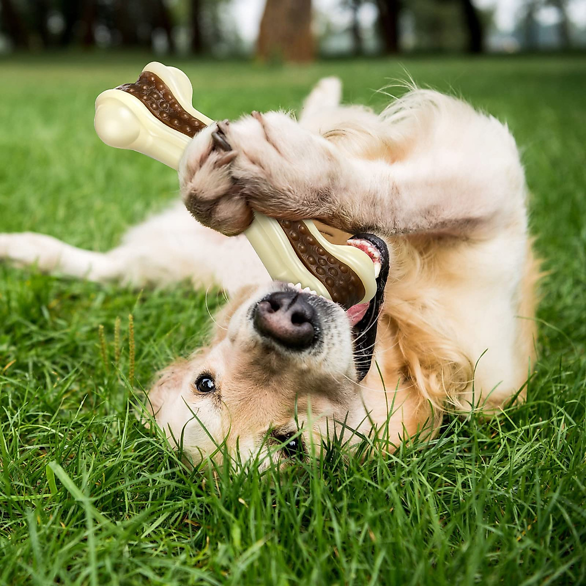 Sosation 3 Pack Chew Toys for Aggressive Chewers, Bone Toys Nylon Beef Flavor Dog Teething Toys for Large/Medium/Small Puppies Breeds(Large, Curved Bone)