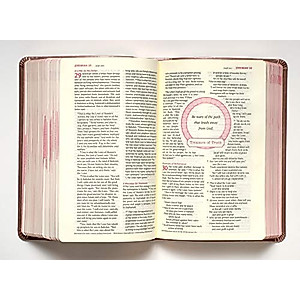 NLT THRIVE Devotional Bible for Women (Hardcover)