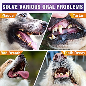 Pjordo Teeth Cleaning Wipes for Dogs & Cats, Dental Care Finger Wipes, Remove Plaque, Tartar & Bad Breath, Disposable Gentle Cleaning & Gum Care Pet Wipes, No-Rinse Dog Finger Toothbrush, 50 Counts