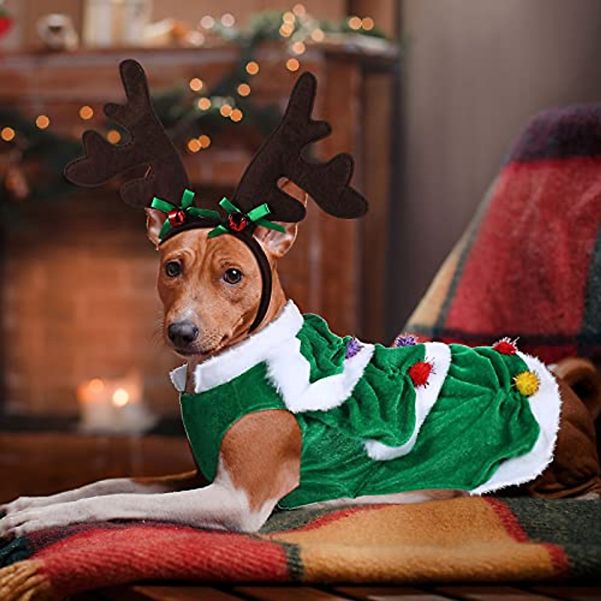 2 Pieces Christmas Dog Costume Outfit Reindeer Dog Costume with Green Xmas Tree Clothes and Elk Reindeer Antler Headband, Warm Winter Puppy Coat Deer Headwear for Christmas Pet Party (Medium)