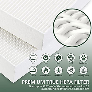HPA100 True HEPA Filter Replacement HRF-ARVP100 for Honeywell HPA100 Series Air Purifier, HPA094, HPA104, HPA105 HPA3100, HPA5100 Series, 2 HEPA R and 8 Precut Carbon Pre-Filters A