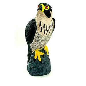 Bird-X Falcon Predator Decoy Bird Scare