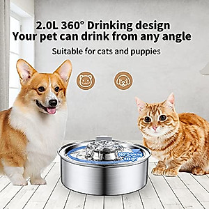 Cat Water Fountain,Stainless Steel Pet Water Fountain for Cats Inside,Automatic Cat Water Dispenser,Cat Fountain Water Bowl with Ultra Quiet Pump for Cats and Small Dogs (Silver)