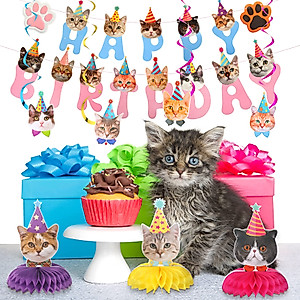 16 Pcs Cat Theme Birthday Party Decorations Party Supplies Kit, Includes Cat Party Banner with 6 Cat Hanging Cutouts 6 Hanging Swirl Decor and 3 Birthday Honeycomb for Kids Girls (Cute Style)