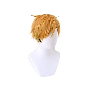 Liamiona Cosplay Short Wig Heat Resistant Synthetic Hair Anime Wig Halloween Carnival Party Wigs