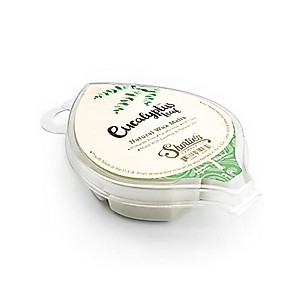 Shortie's Candle Company Eucalyptus Leaf Natural Soy Wax Melts - 1 Highly Scented 3 Oz. Bar - Made with 100% Soy and Essential Fragrance Oils - Phthalate & Paraffin Free, Vegan, Non-Toxic