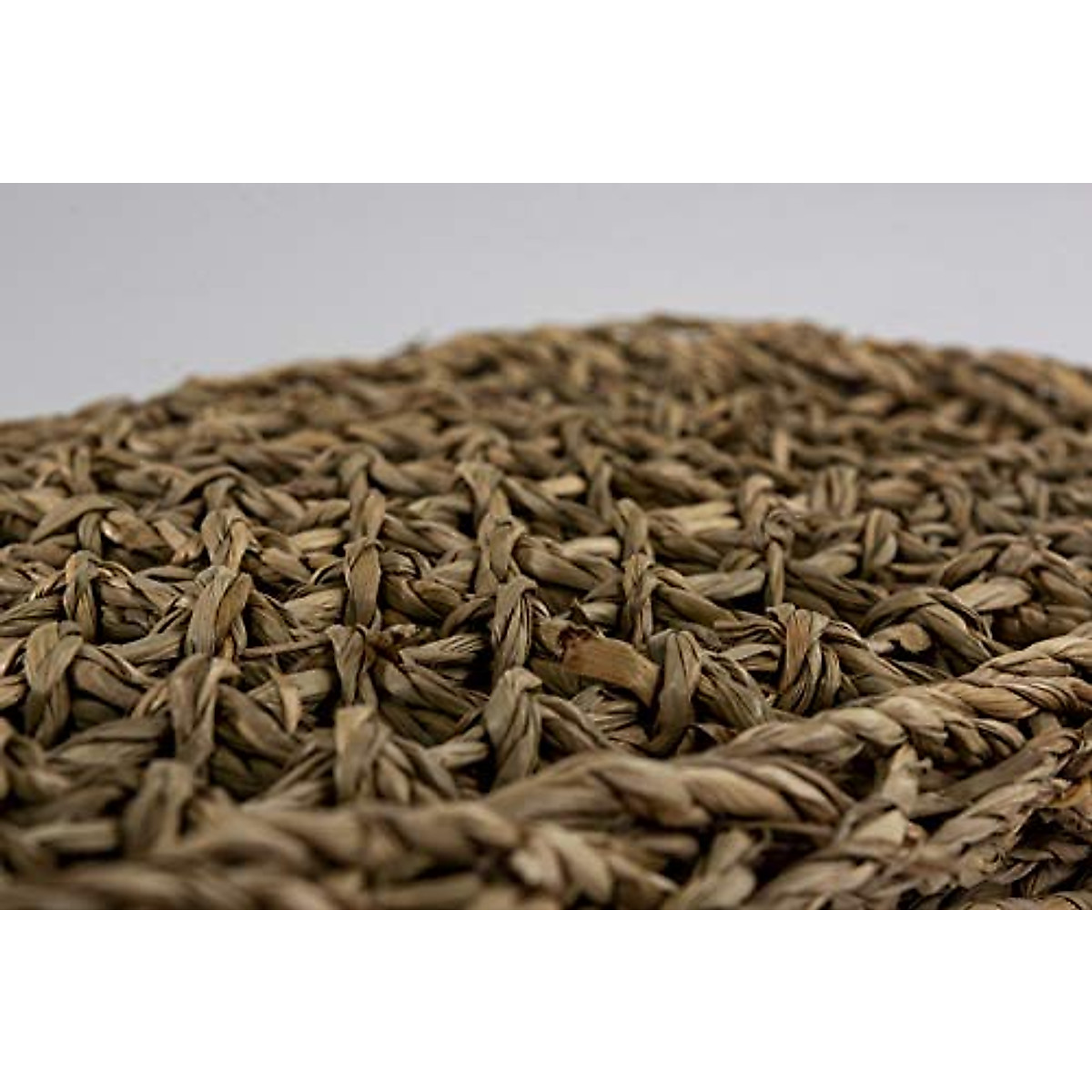 PENN-PLAX Reptology Lizard Lounger – 100% Natural Seagrass Fiber – Great for Bearded Dragons, Anoles, Geckos, and Other Reptiles – Extra Large