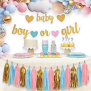 Aonor Gender Reveal Party Decorations - Glitter Letters Baby and Boy or Girl with Hearts Banner, Tissue Paper Tassels Garland Set for Baby Shower Party Decorations
