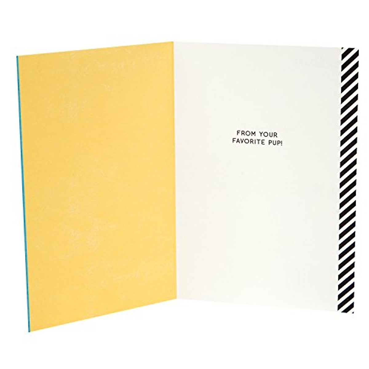 Hallmark Birthday Greeting Card from the Dog (Happy Barkday)