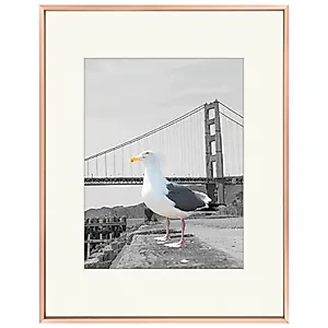 Frametory, 16x20 Metal Picture Frame with Mat for 11x14 Picture & Real Glass, Aluminum Photo Frame Collection (Rose Gold, 1 Pack)