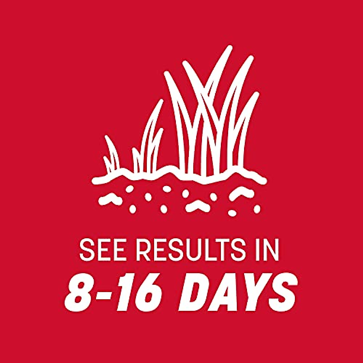 Pennington The Rebels Tall Fescue Grass Seed Blend, 3 Pounds