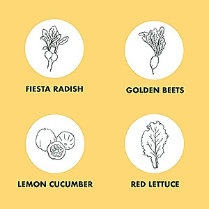 Indoor Garden Vegetable Seed Starter Kit - Rainbow Salad Grow Kit, Non GMO Heirloom Seeds for Planting, Wood Planter Box, Soil, Pots, Plant Markers, DIY Home Gardening Gifts for Plant Lovers