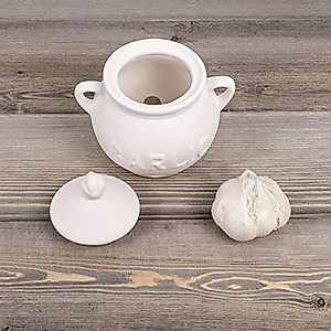 HIC Harold Import Co. Garlic Clove Keeper White Vented Ceramic Storage Container With Lid, 5.25" x 5.5"/16 oz