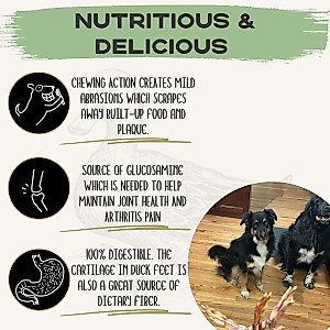 JACK'S PREMIUM Dehydrated Duck Feet Dental Dog Treat All Natural Chew Fully Digestible Made in USA - Source of Glucosamine and Chondroitin for Joints