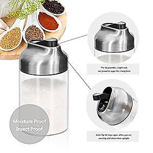 Glass Sugar Dispenser with Pour Spout by Aelga, Weighted Pourer, for Coffee,Tea and Baking