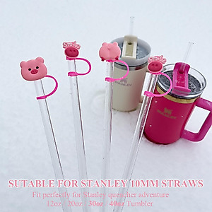 Amreich Cute Pig Straw Cover Cap for Stanley Cup, 4 PCs Pink Straw Toppers Dust-proof Silicone Straw Cover for Water Bottle 30 40 Oz Tumblers Accessories for Home Office Use