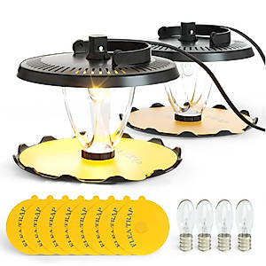 Flea Trap for Inside Your Home Indoor Electric Flea Light Catcher and Killer for House 2 Pack with 8 Sticky Pads Refills and 4 Replacement Lightbulbs