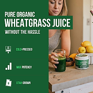 Organic Wheatgrass Juice Powder - Organic, Grown in Volcanic Soil of Utah - Raw BioActive Form, Cold-Pressed Then CO2 Dried, 20:1 Concentrate Juice Extract - Unflavored (5.3 oz – 50 Servings)
