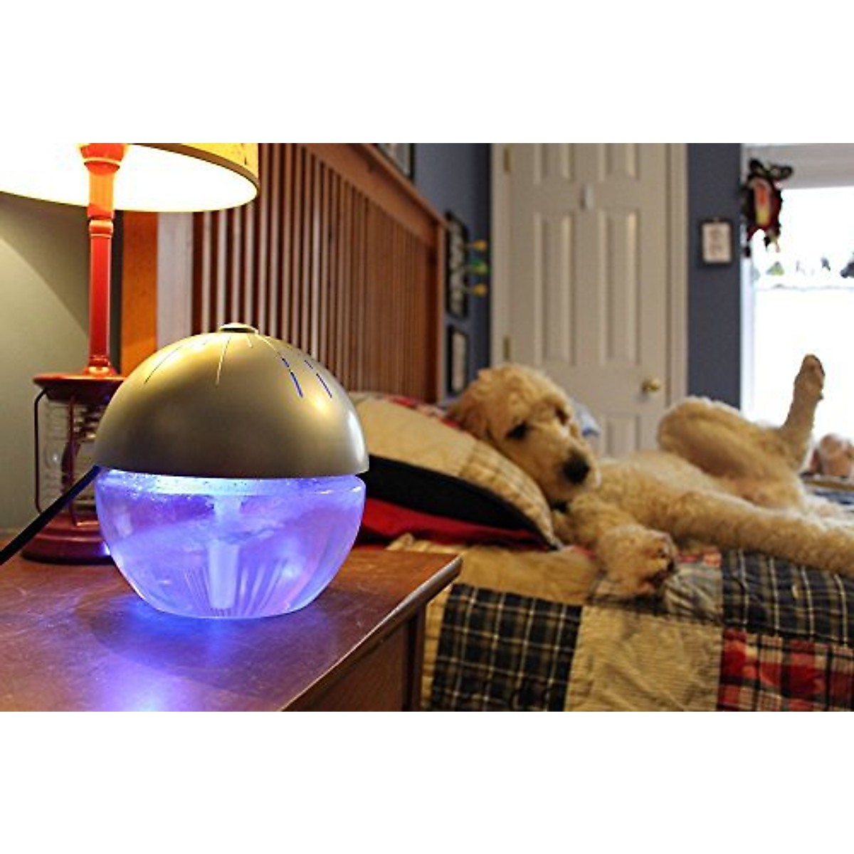 EcoGecko Earth Globe- Glowing Water Air Washer and Revitalizer with Lavender Oil, Silver (75606-Silver)