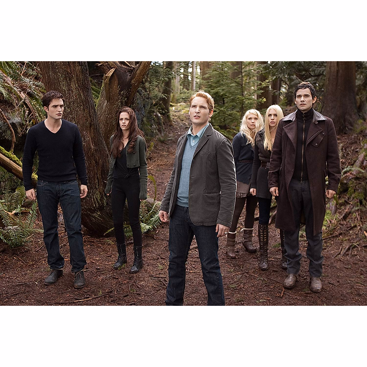 The Twilight Saga: Breaking Dawn Part 2 (DVD + Digital)