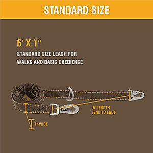 Browning Dog Leashes, Durable, Classic Webbing Pet Leash with Reflective Stitching, Ovix Camo, One Size