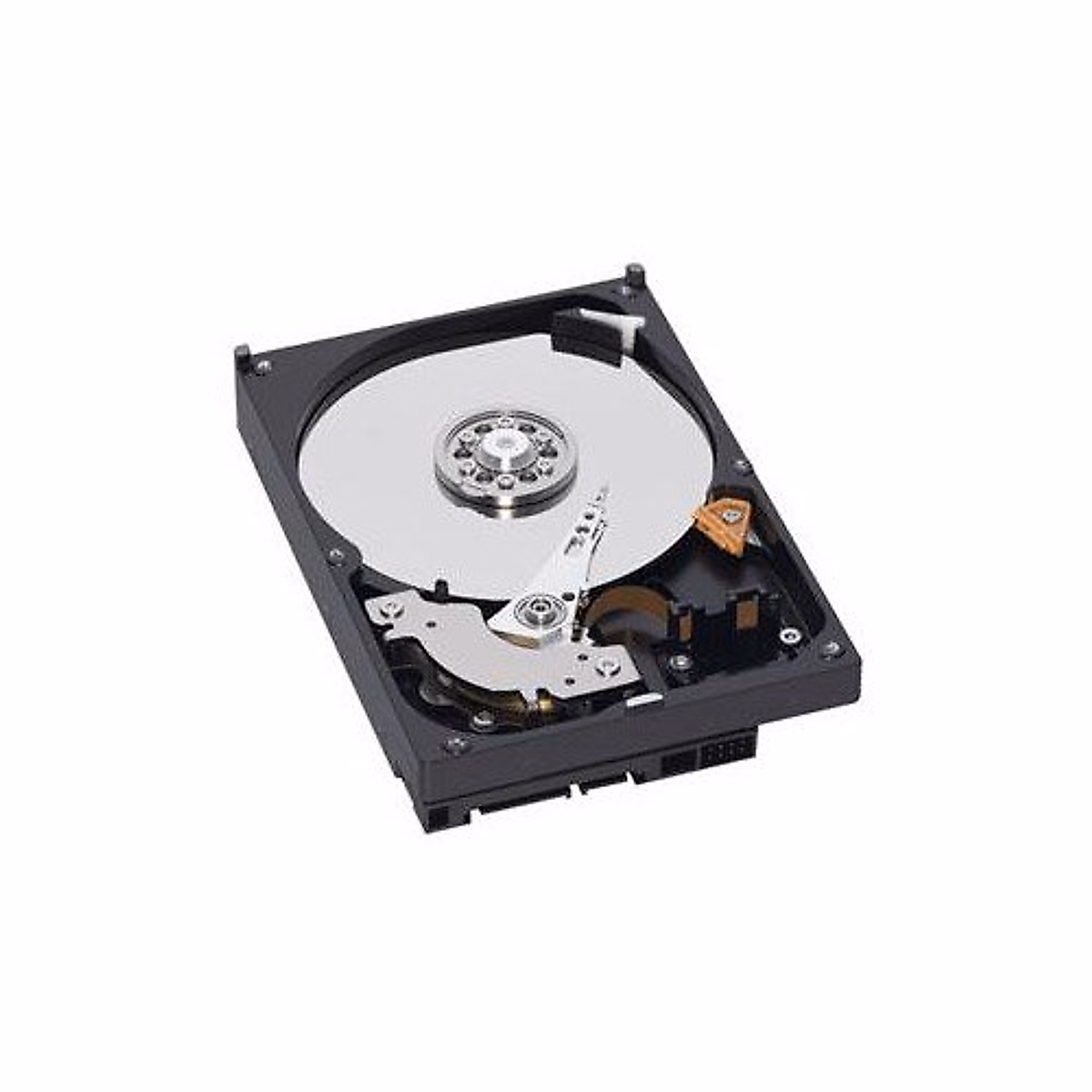 Western Digital 160 GB Caviar Blue SATA 7200 RPM 8 MB Cache Bulk/OEM Desktop Hard Drive WD1600AAJS