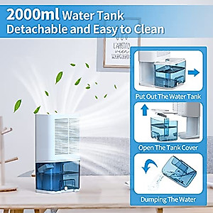 68oz 7900 Cubic Feet（810 Sq.ft）Dehumidifiers for Home Bathroom Room Basements,Quiet Dehumidifier With Drain Hose & Auto Shut Off, Portable Small Dehumidifiers for Bedroom Closet RV