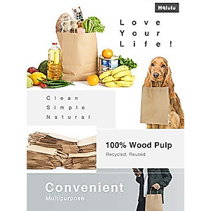 GSSUSA Medium Paper Gift Bags 8x4.75x10.5 Paper Bags with Handles, Brown 25 Pcs, Bulk Kraft Gift Bag for Shopping, Craft, Grocery, Party, Retail, Lunch, Business, Wedding, Merchandise, Boutique