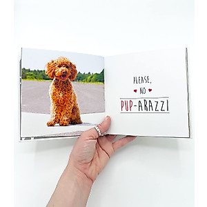 Love is a Cockapoo: A Dog-tastic Celebration of the World's Cutest Breed